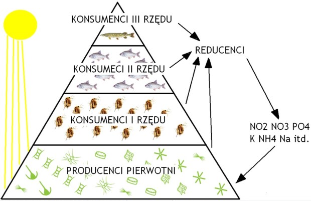 Po co, w istocie przyrody, przeprowadza się tzw. rekultywację jezior ...
